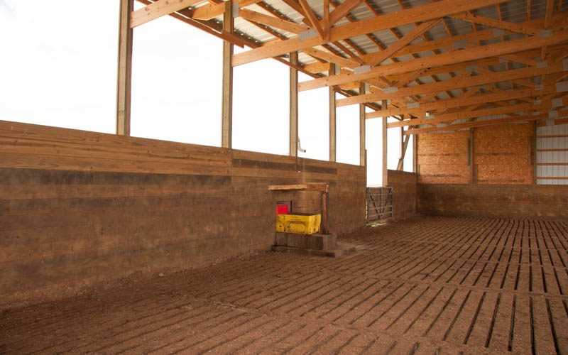 Monoslope Beef Barn | Henry County, Illinois | FBi Buildings