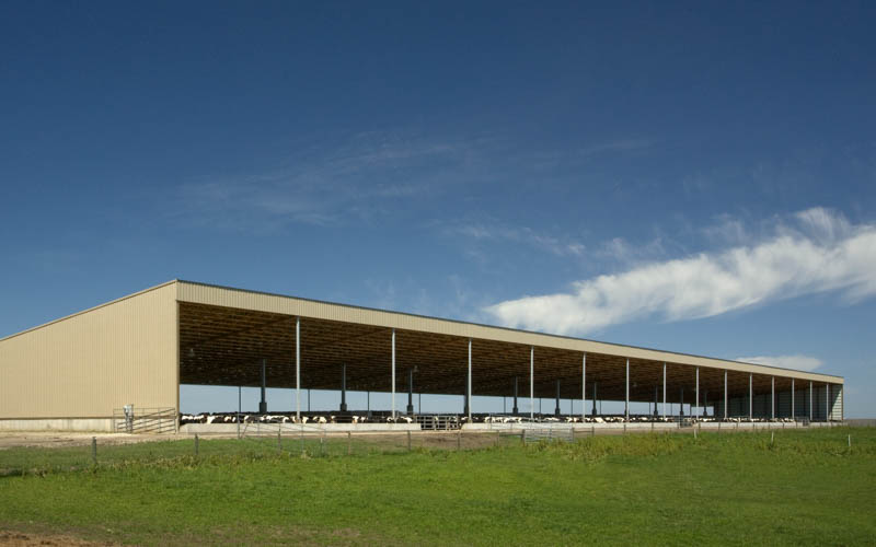 Monoslope Beef Barn Feedlot | McLean County, Illinois | FBi Buildings