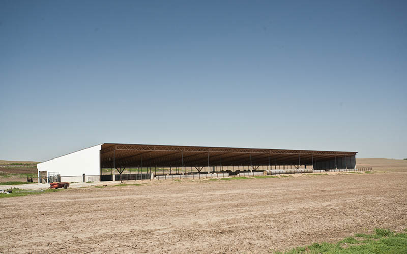 Monoslope Beef Barn | Fremont County, Iowa | FBi Buildings
