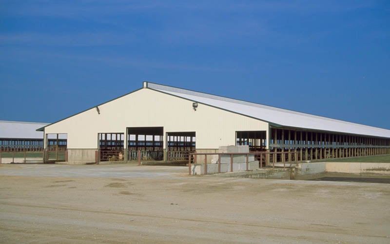 Free Stall Dairy Barn | Newton County, Indiana | FBi Buildings
