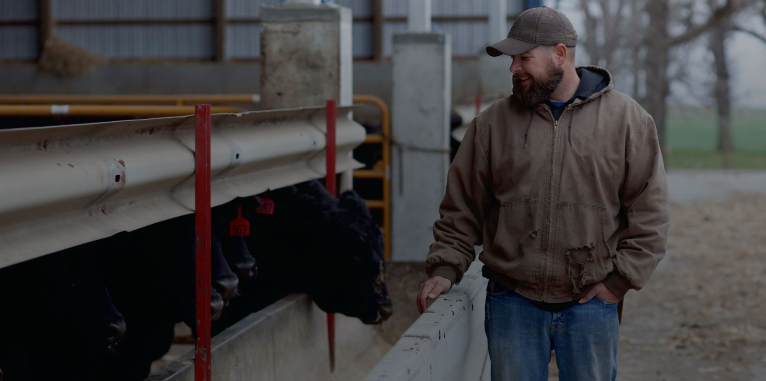 Improving Cattle Profits | Summit Livestock Facilities