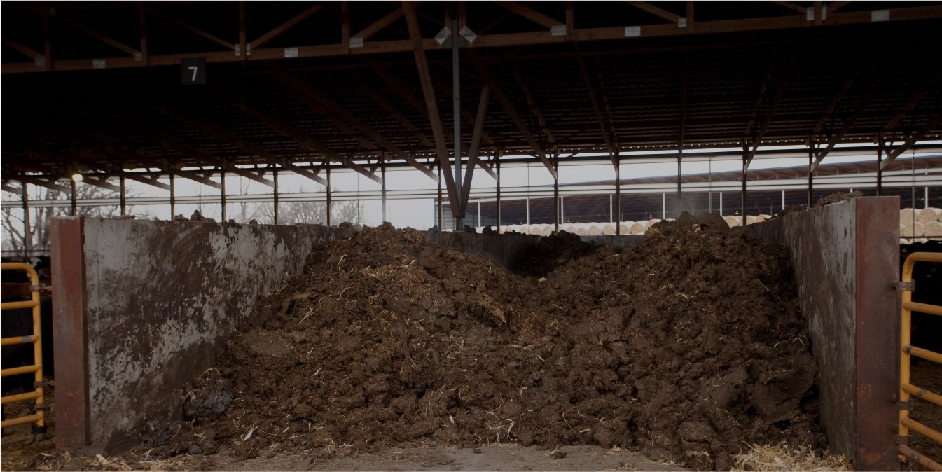 Fertilizer Value of Manure