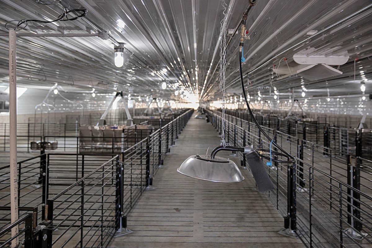 Swine Facility Virtual Tour | Thanks