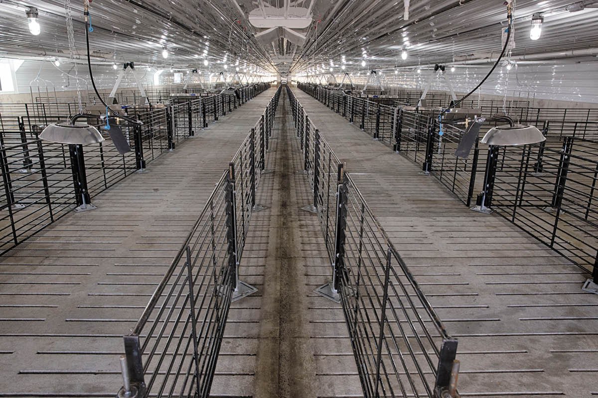 Swine Facility Virtual Tour | Thanks